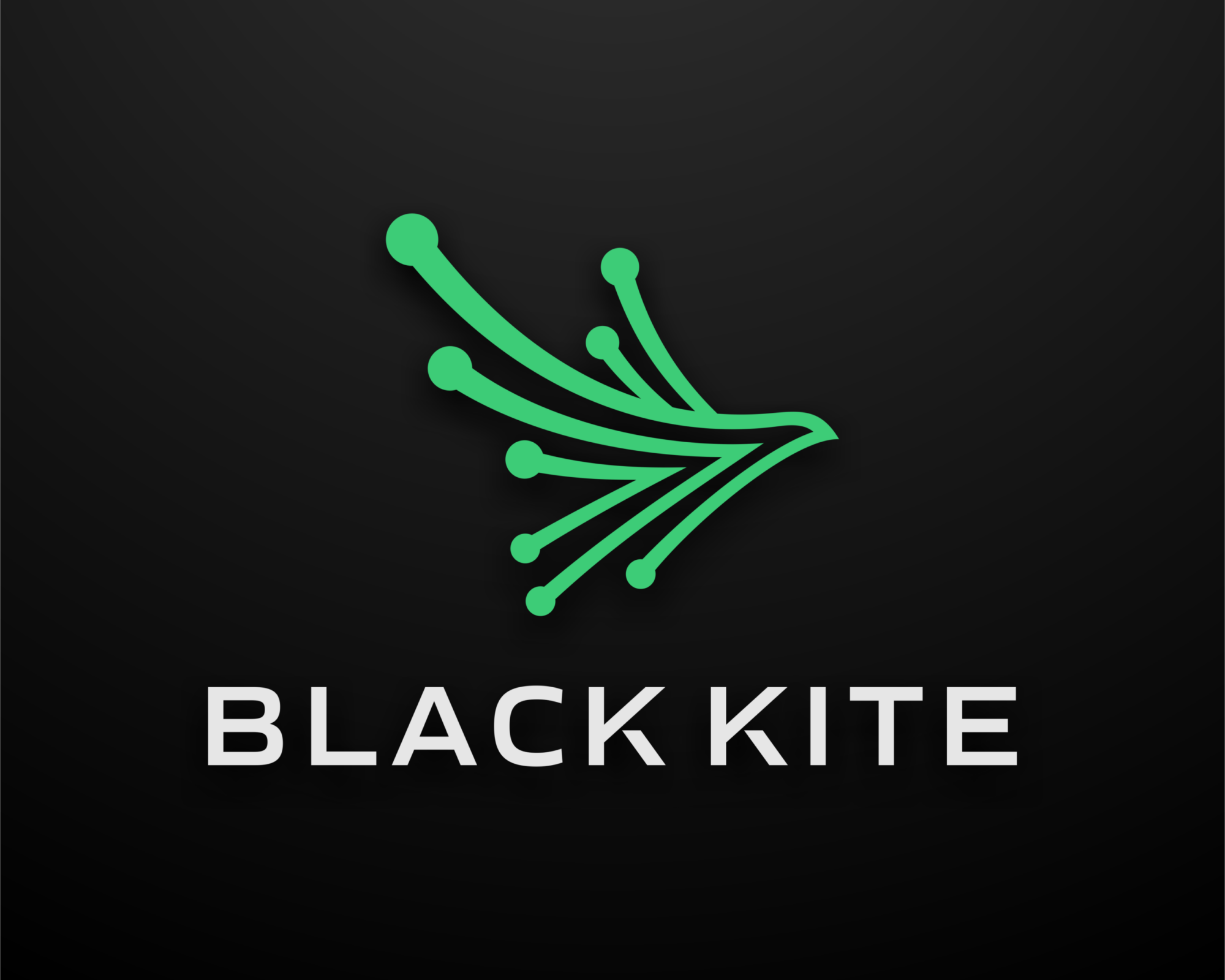 Four Questions With Black Kite - Volition Capital