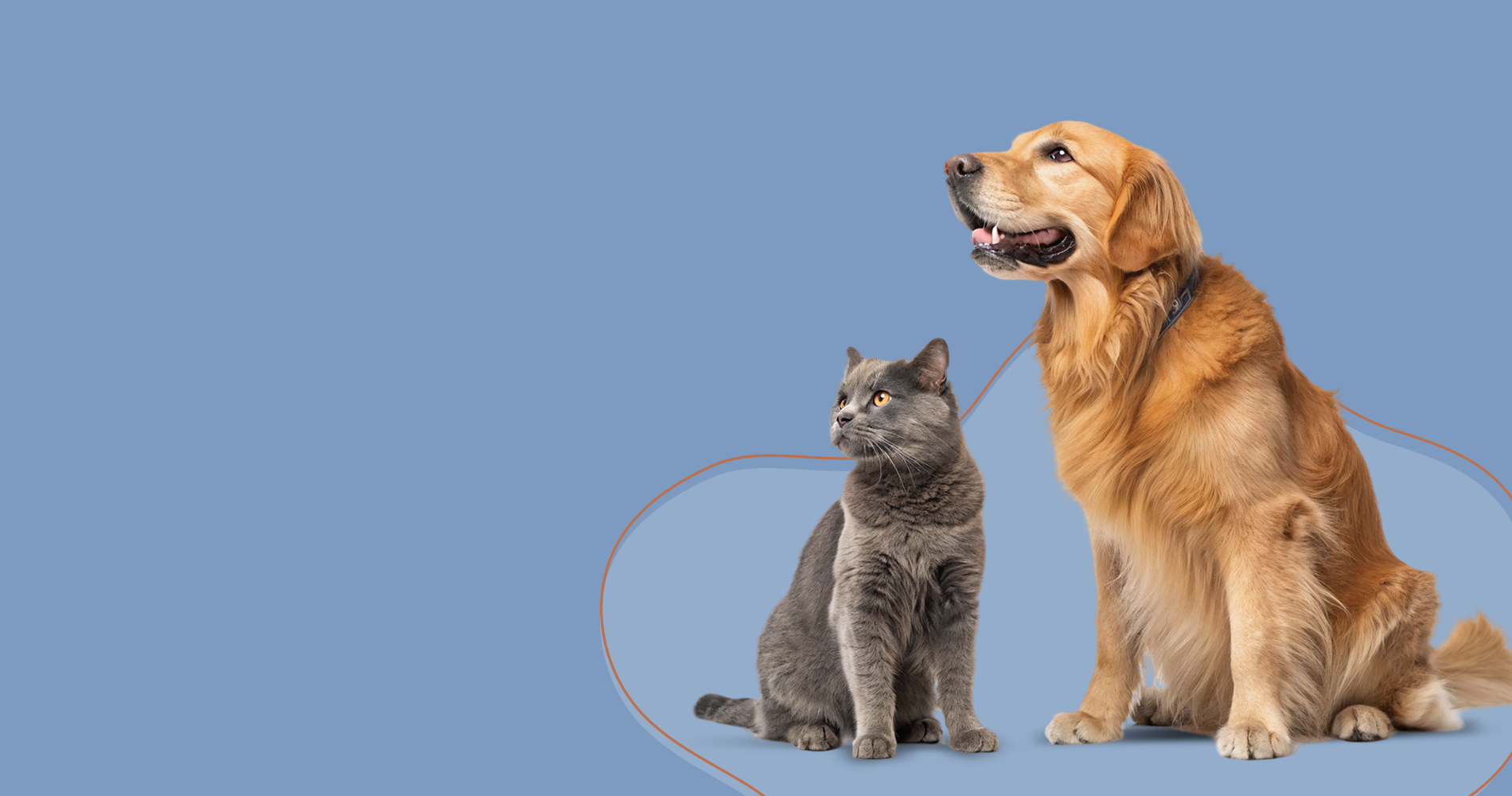 PetScreening - Volition Capital